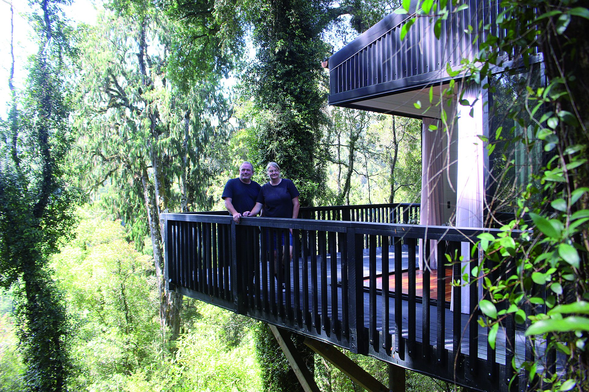 Stunning Coast 'treehouse' opens - Greymouth Star
