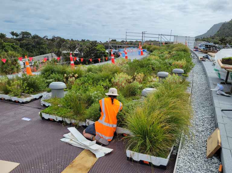 Green roof goes on visitor centre - Greymouth Star