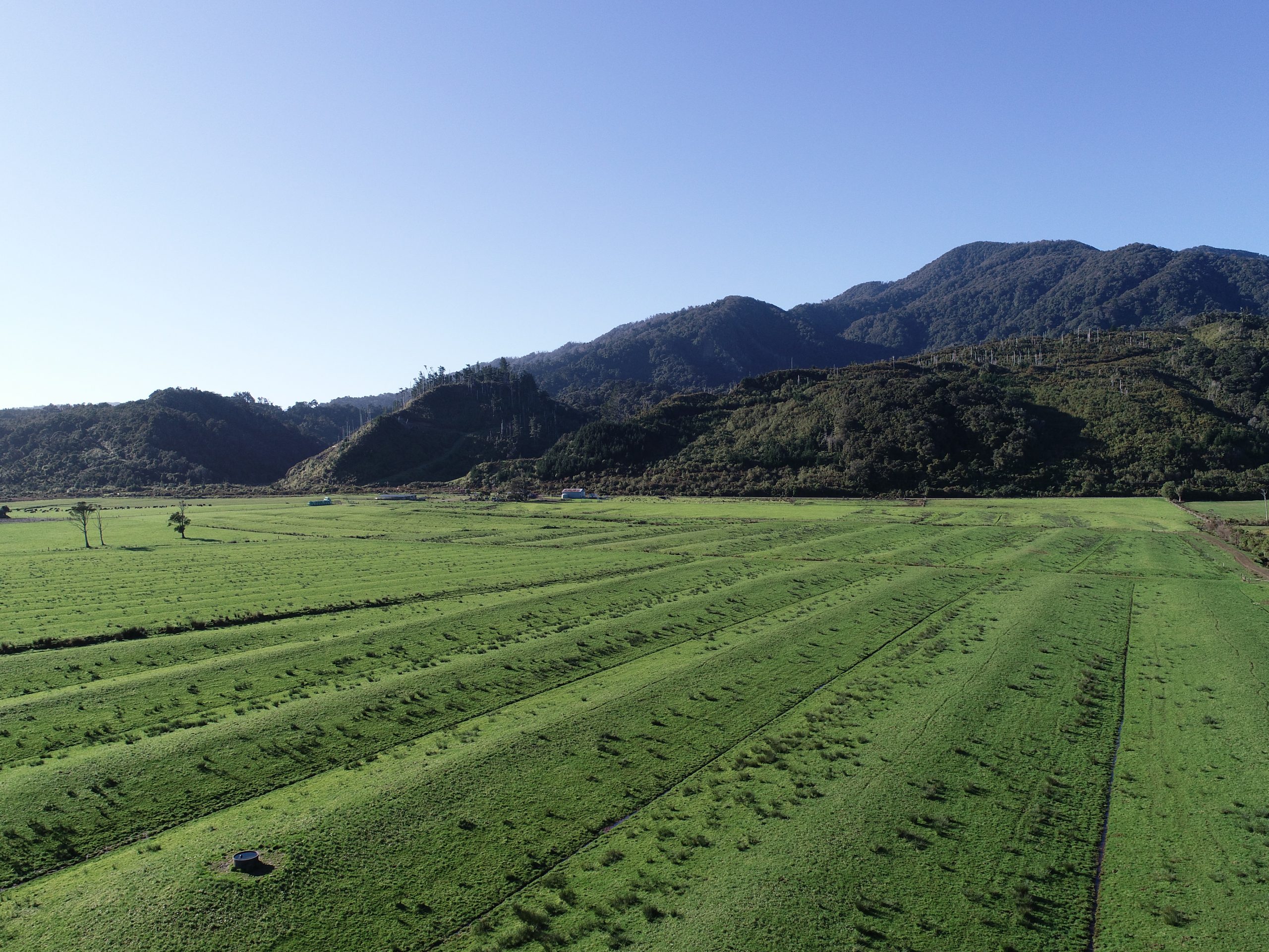Barrytown mine appeal considered - Greymouth Star