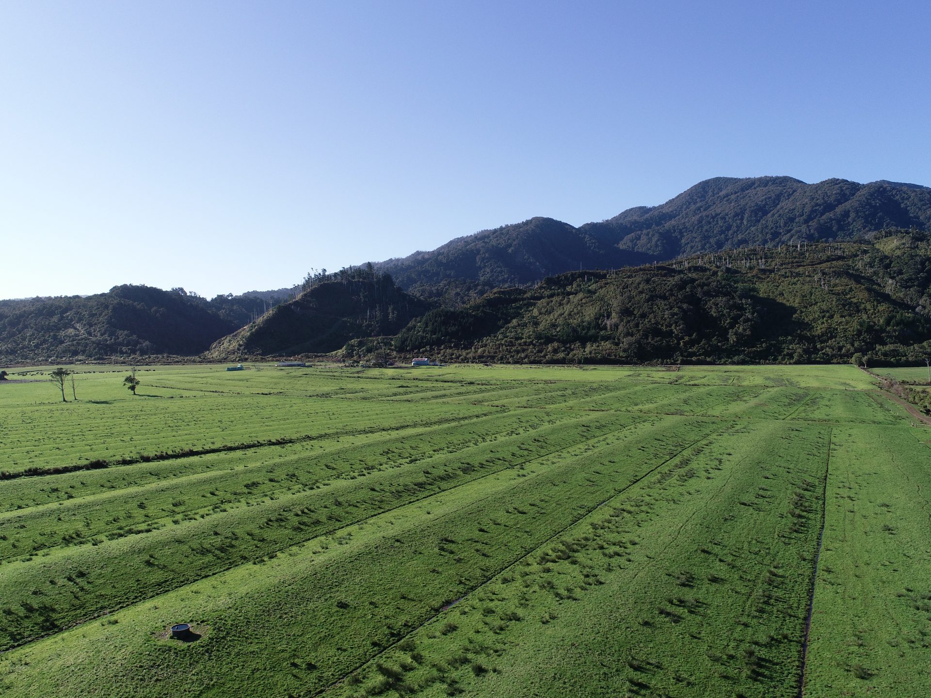 Barrytown mine green light - Greymouth Star