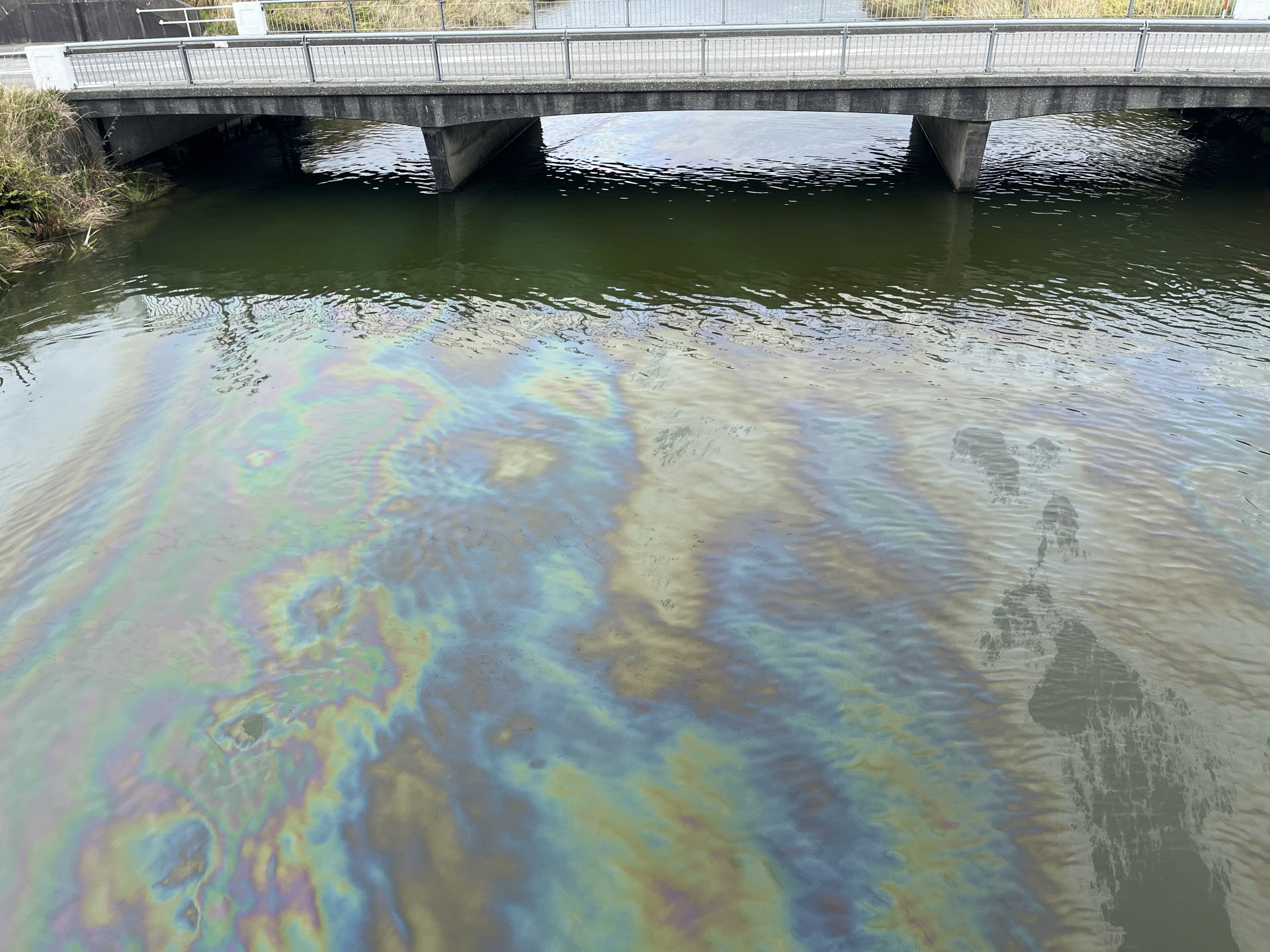Diesel spill causes concern - Greymouth Star