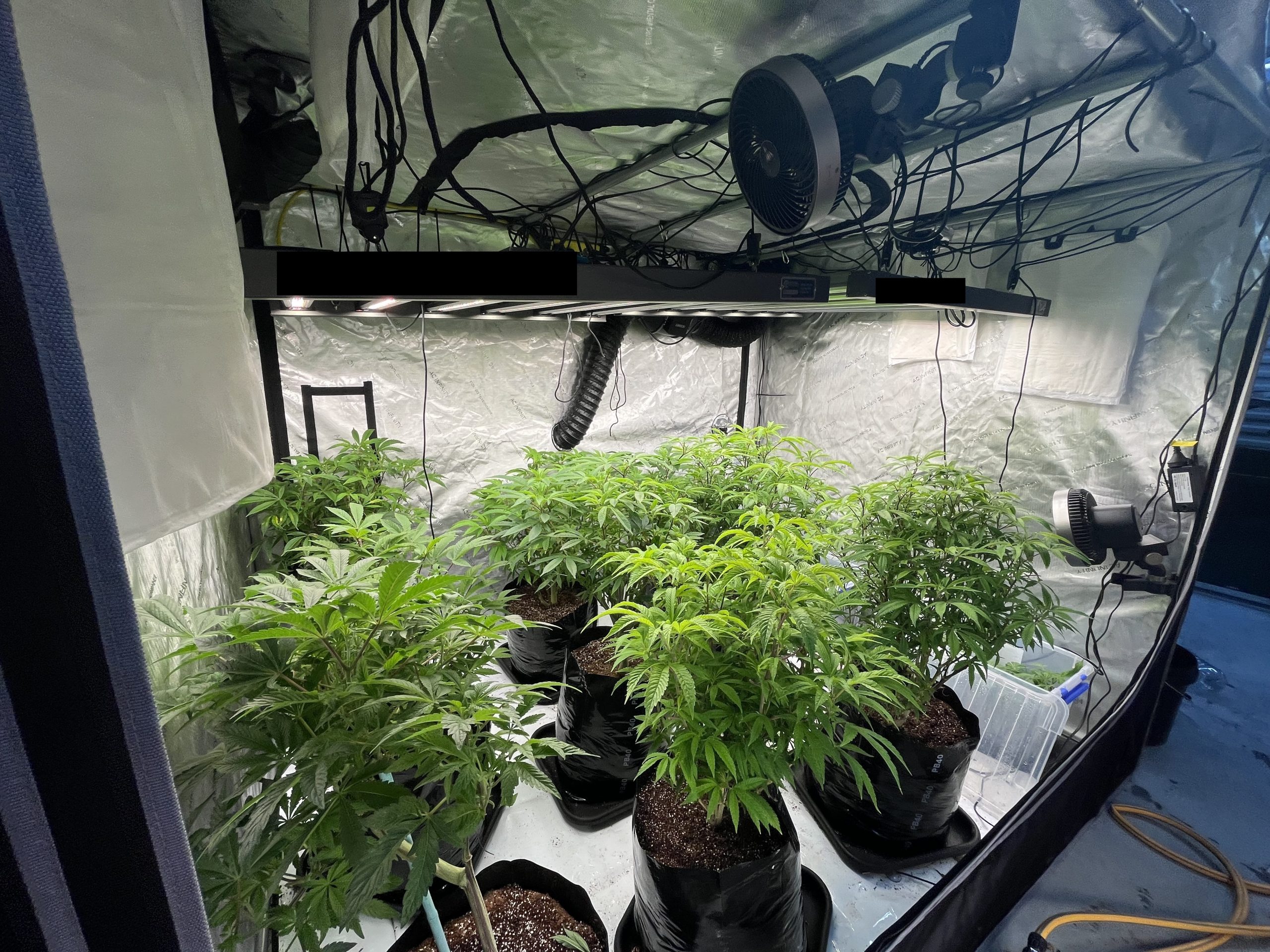 Cobden drug haul - Greymouth Star